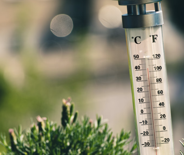 Lombardia, freddo intenso e gelate anche a Milano