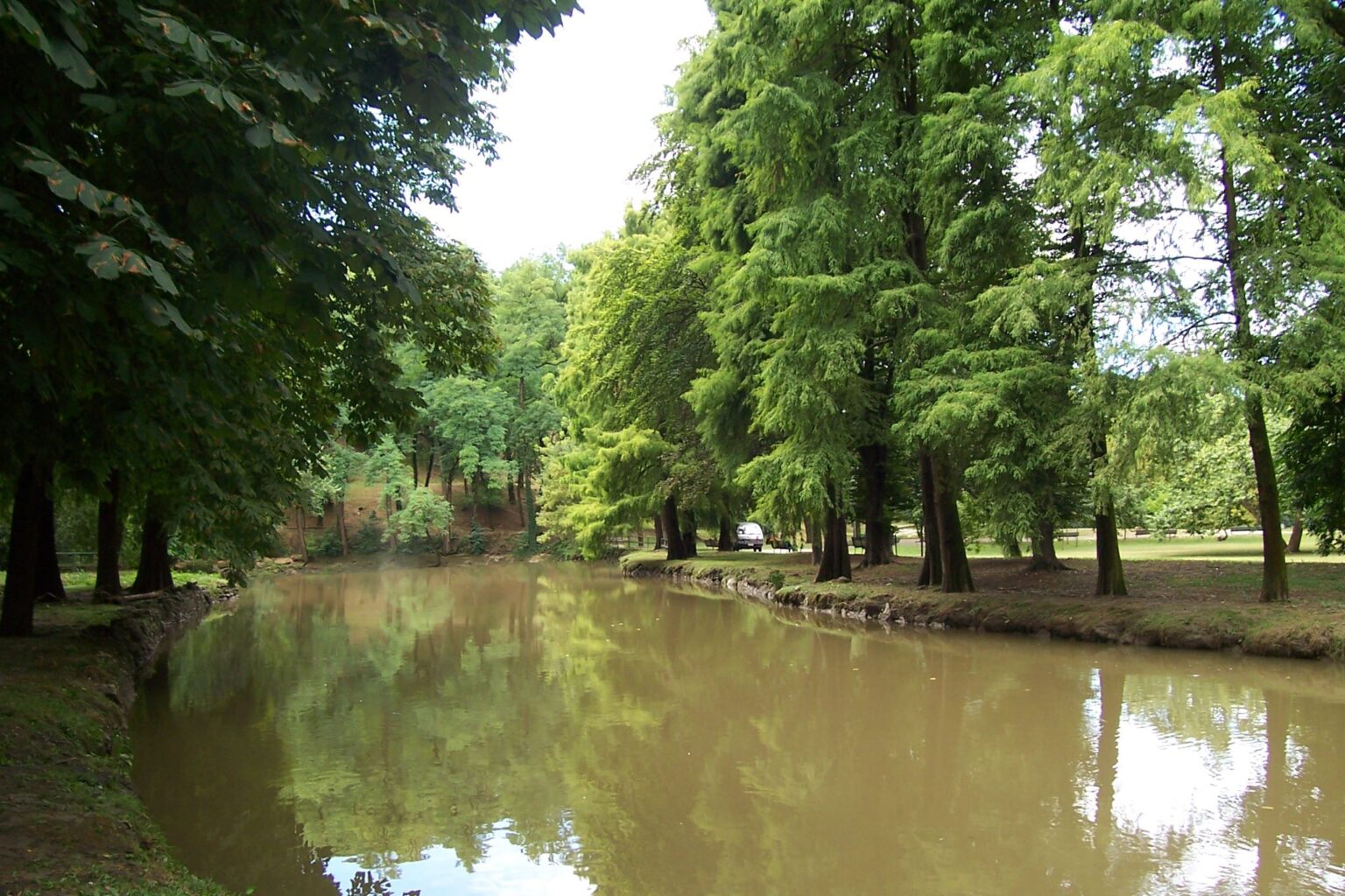 Parco Lambro Milano, 800 alberi in memoria di Luca Marengoni